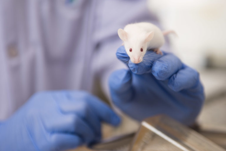 Toxicology Studies - Pacific BioLabs