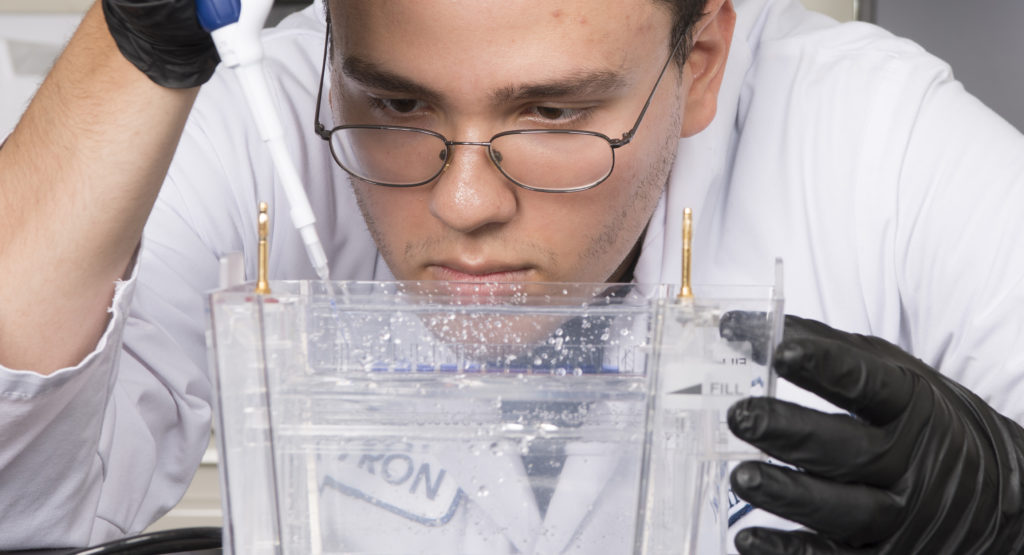 Cytokine Testing - Pacific BioLabs