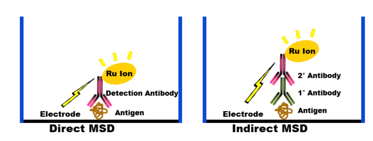 Meso Scale Discovery - MSD - Pacific BioLabs