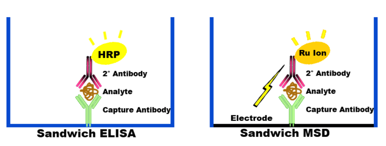 Meso Scale Discovery - MSD - Pacific BioLabs